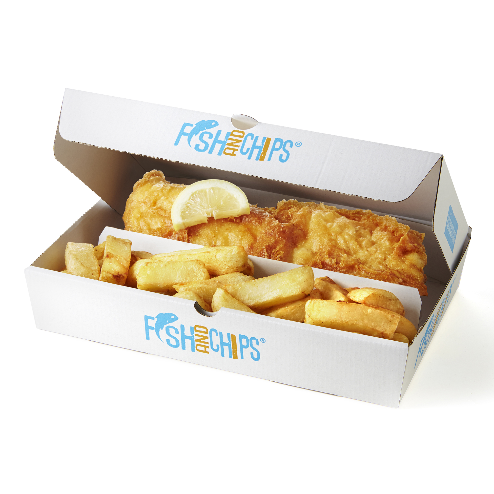 100 Hook And Fish Large 2 Compartment Box